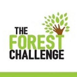 FAQs - The Forest Challenge 2025 – Reforestation & Conservation for ...